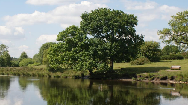 Birmingham Area Guide - SevenCapital